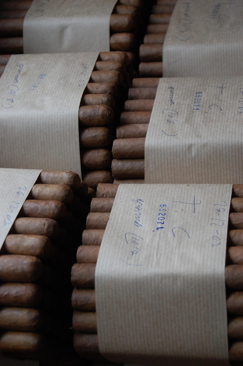 The Daily Habano | Your Source for Cigar Excellence